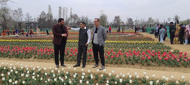 India’s Tulip Revolution: From Imports to Self-Sufficiency | Keekli