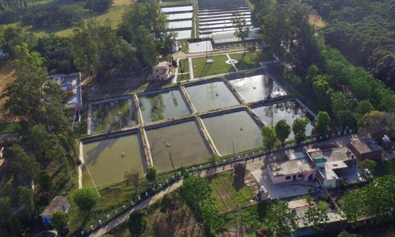 Himachal Pradesh Charts New Path to ‘Blue Prosperity’ Under Vyavastha ...